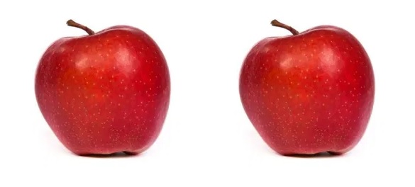 TEACHERS FOR CHOICE Resolution Against All Vaccine and Health Passports ...